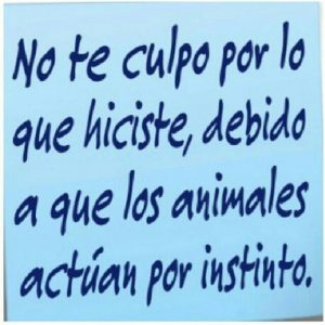 Imágenes Con Mensajes De Sarcasmo Y Frases Irónicas Para Compartir