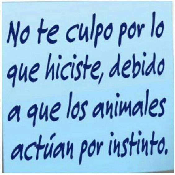 Imágenes Con Mensajes De Sarcasmo Y Frases Irónicas Para Compartir
